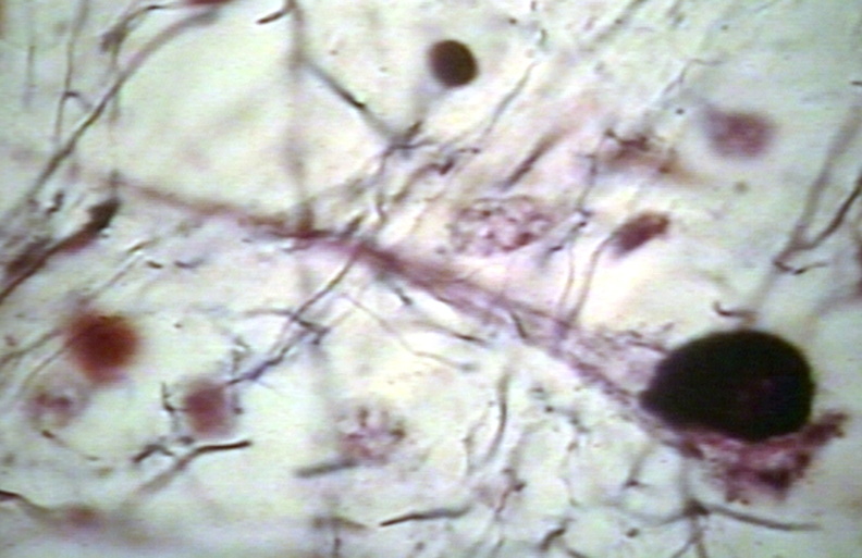 00201311 | PEIR Digital Library