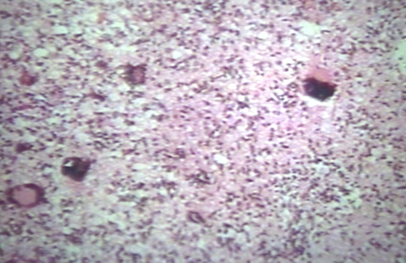 00201566 | PEIR Digital Library