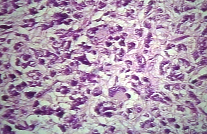 00201567 | PEIR Digital Library