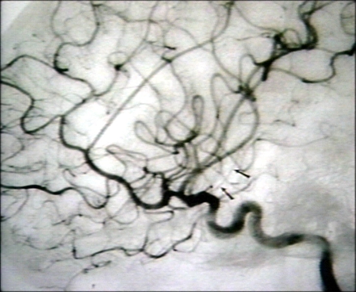 00213265 | PEIR Digital Library