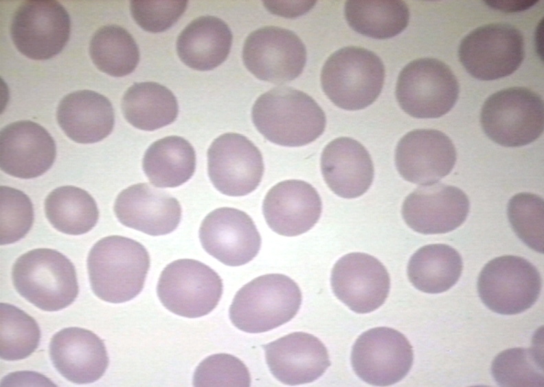 00216175 | PEIR Digital Library