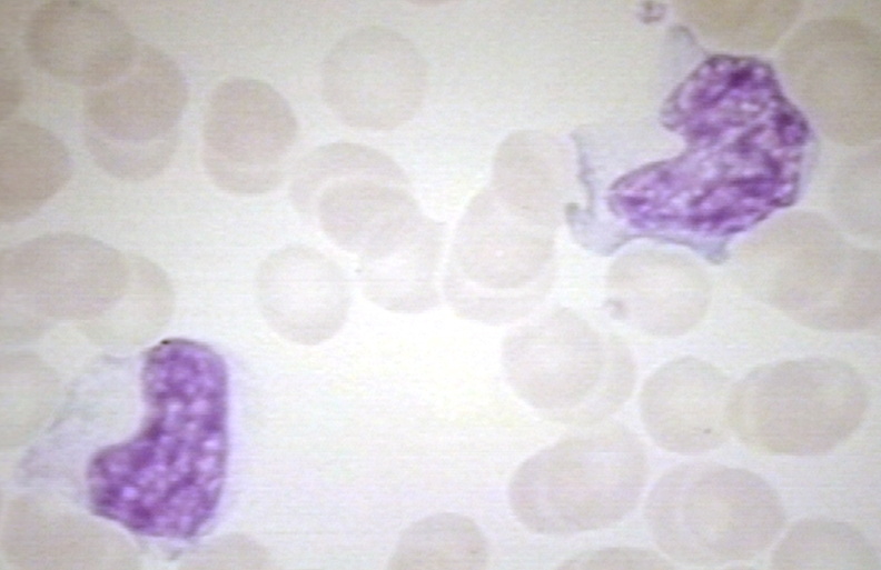 00216207 | PEIR Digital Library