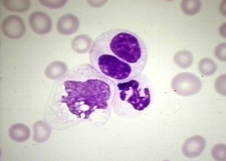 00216212 | PEIR Digital Library