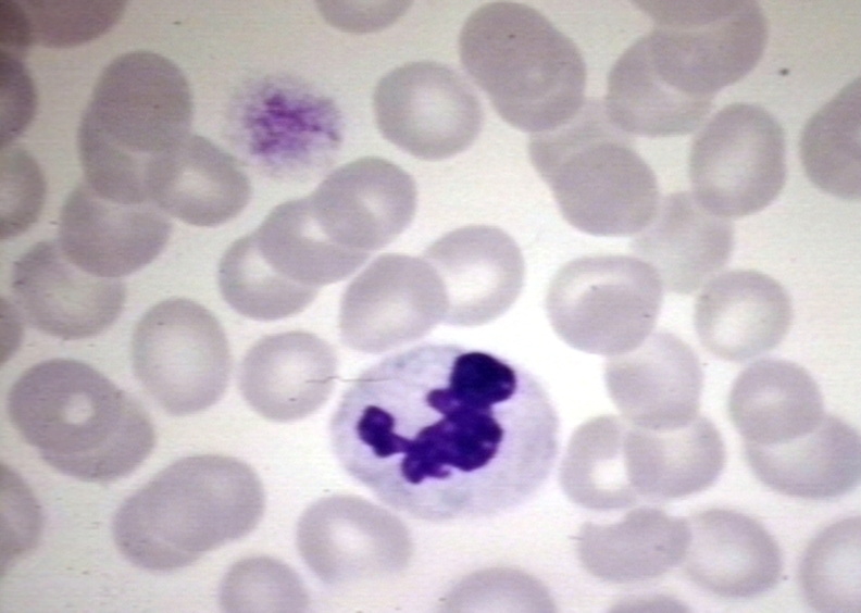 00216214 | PEIR Digital Library