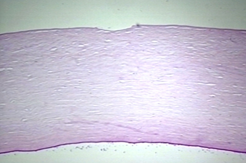 00221973 | PEIR Digital Library