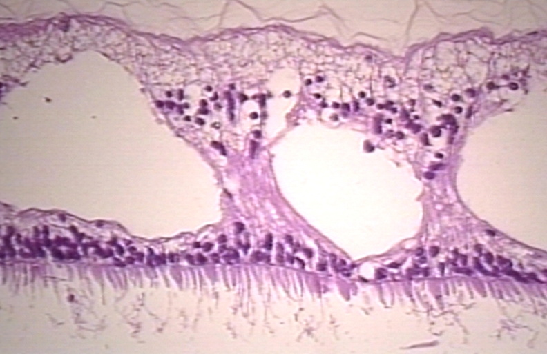 00222082 | PEIR Digital Library