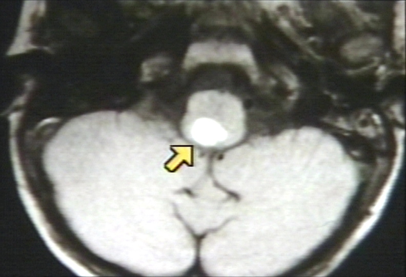 00229886 | PEIR Digital Library