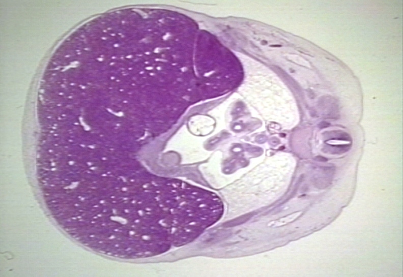 00244220 | PEIR Digital Library