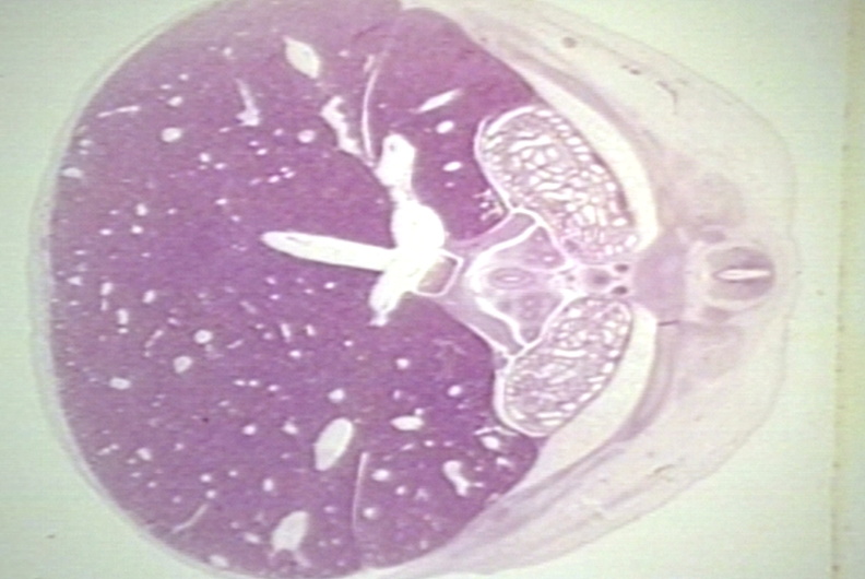 00244223 | PEIR Digital Library