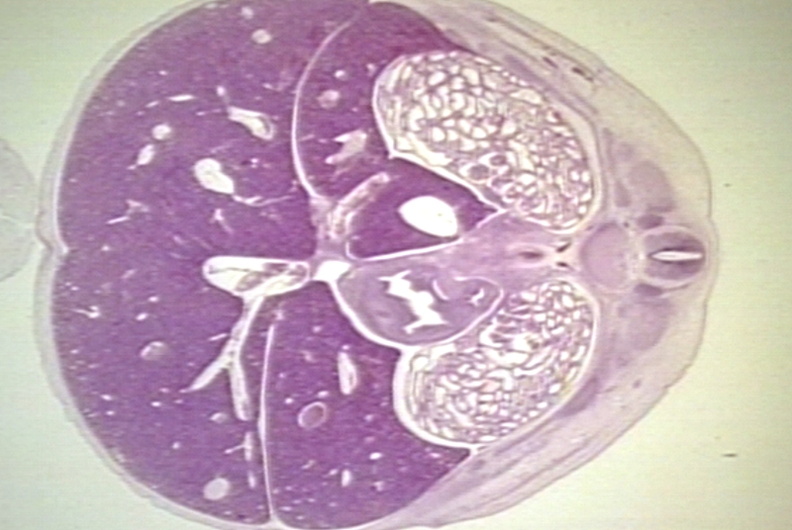 00244227 | PEIR Digital Library