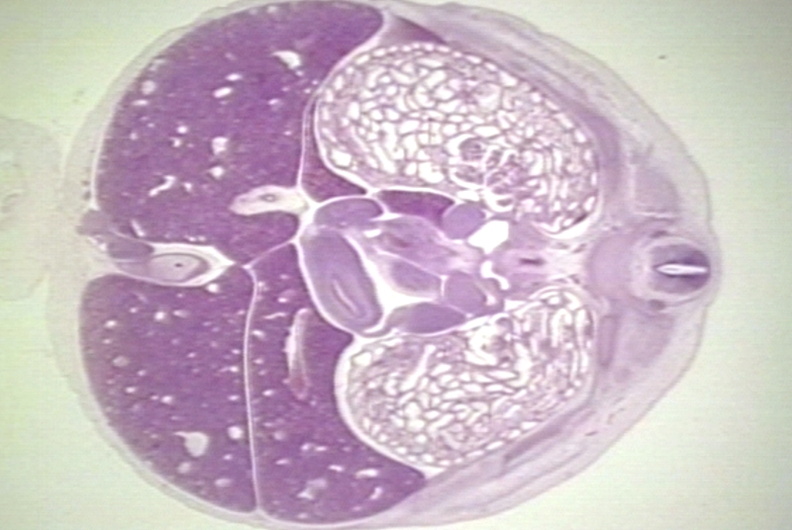 00244230 | PEIR Digital Library